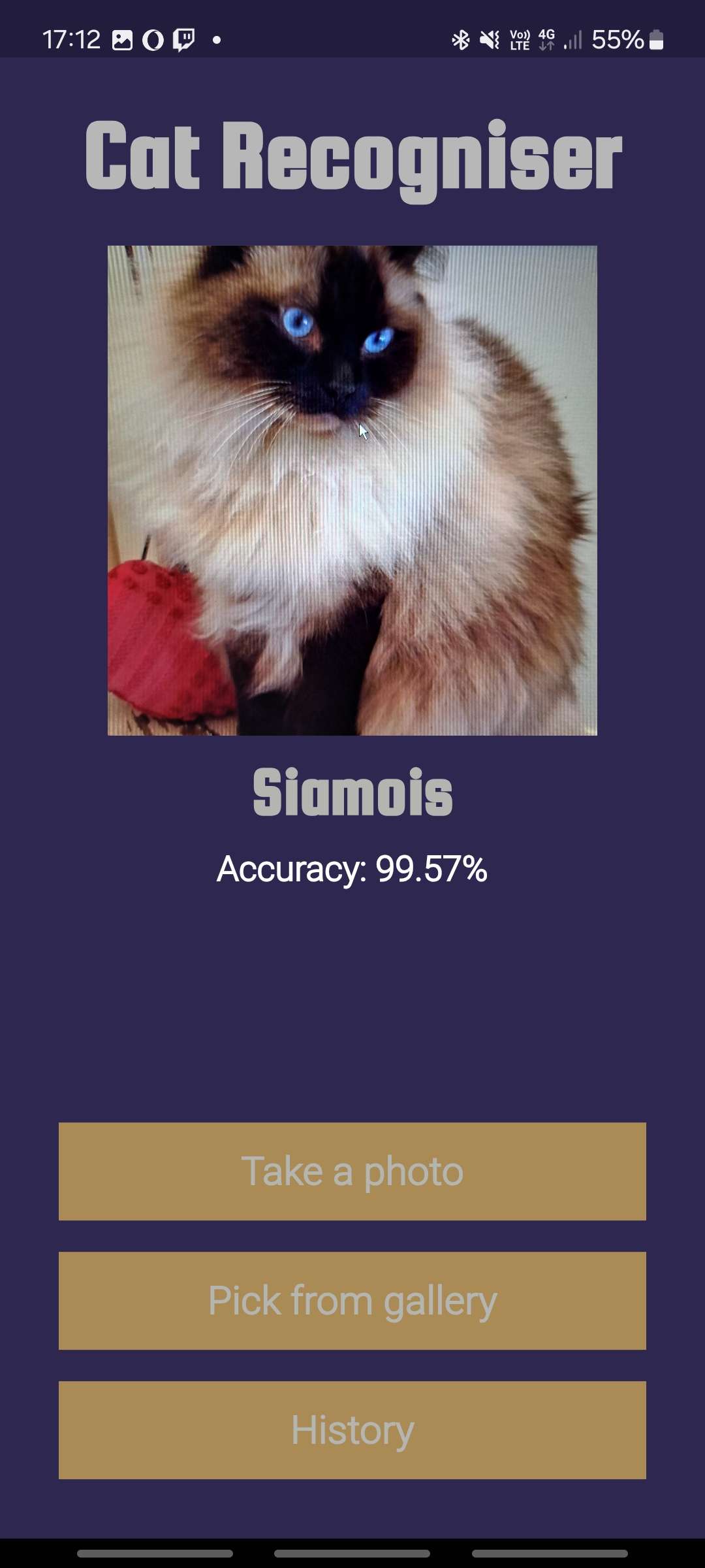 Brenann Joly | Etudiant en développement à Nancy